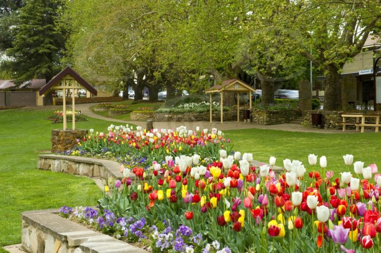 A Brief History of Moss Vale | Working Spaces Moss Vale